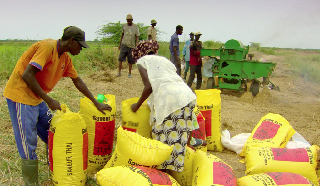 Weird Weather - Feed the World - SWPictures