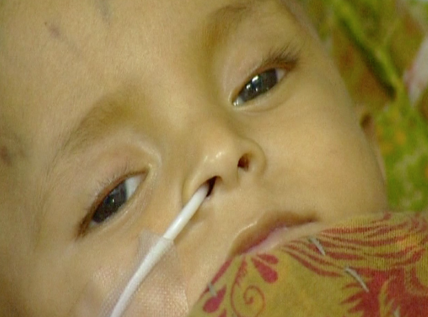 Kill or Cure - HiB Devastation - SWPictures